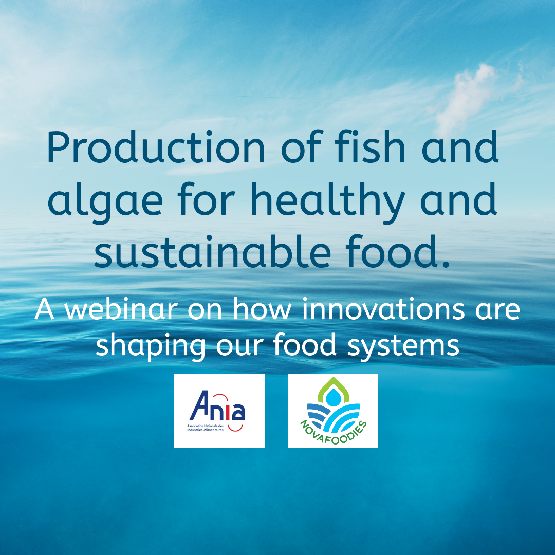 ANIA’S WEBINAR ON INNOVATION IN THE SEAFOOD INDUSTRY – NOVAFOODIES